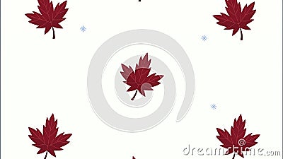 Canadian Maple Leafs Pattern Animation Stock Video - Video of holiday ...