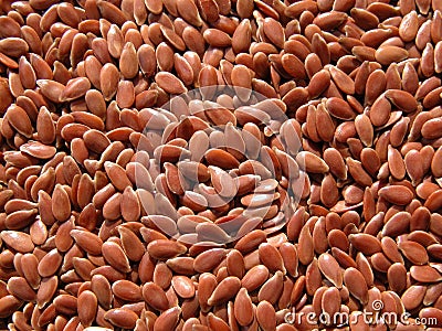 Canary-seeds Stock Photography - Image: 139932