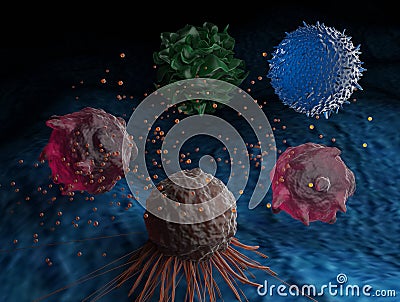 A Cancer Cell Secreting Exosomes That Regulate Various Immune Cells ...