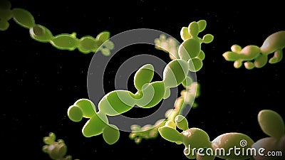 Candida albicans fungi stock video. Video of candidiasis - 140231065