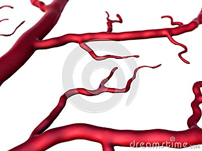 Capillary On The White Background Royalty-Free Illustration ...