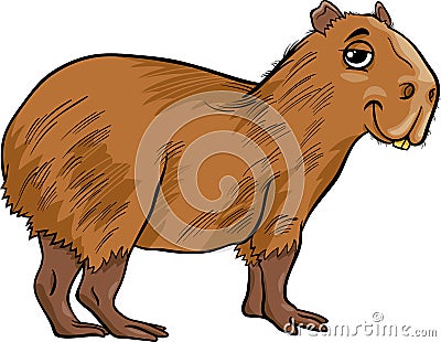 Capybara Animal Cartoon Illustration | CartoonDealer.com #41516610