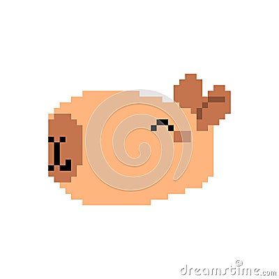 Capybara Pixel Art. 8 Bit Capybara Face Vector Illustration ...