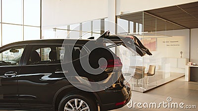 The Car in the Showroom Automatic Trunk Opening. Demonstrating the ...
