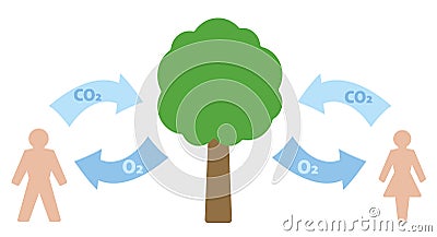 Carbon Cycle Oxygen Humans Tree Respiration Pictogram Vector ...