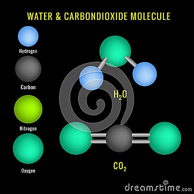Carbondioxide And Water Molecule 3D Structure Vector Illustration ...