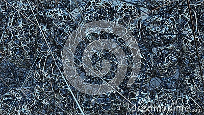 Carcass Bones Machine Structure Corpse Skeleton Broad Outline ...