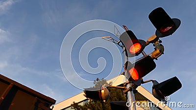 Cargo Train Passing Red Signal Lights Stock Footage - Video of freight ...