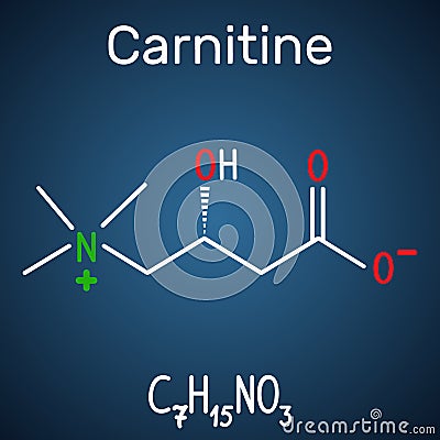 Carnitine L-carnitine Molecule. Structural Chemical Formula An Vector ...