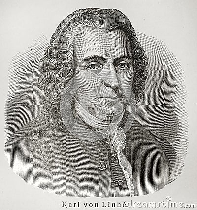 Carolus Linnaeus Editorial Photo - Image: 20293496