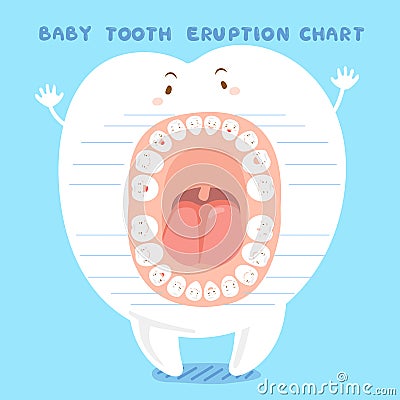 Cartoon Baby Tooth Eruption Chart | CartoonDealer.com #94207823
