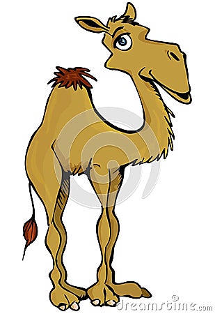 Funny Camel stock vector. Illustration of cartoon, funny - 23805267