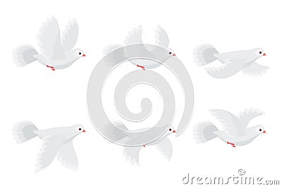 Cartoon Flying Dove Animation Sprite Isolated On White Background ...