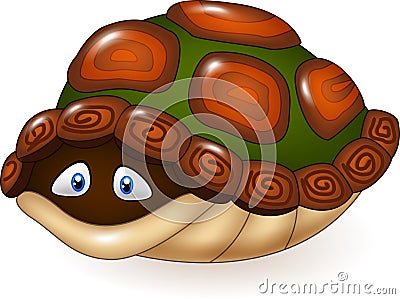 Cartoon Funny Turtle Hides In Its Shell Stock Vector - Image: 65273643