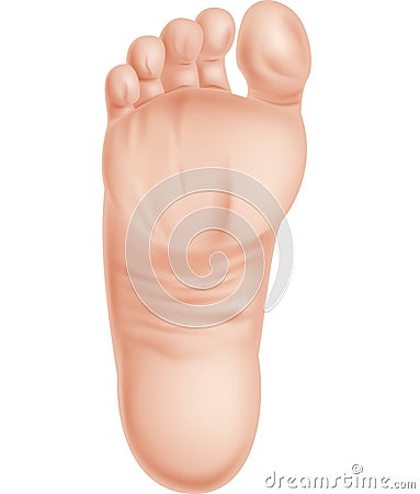 Cartoon Illustration Of Feet Isolated On White Background Stock Vector ...