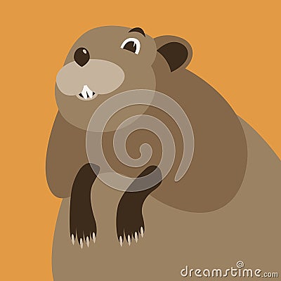 Cartoon Muskrat Face, Vector Illustration , Flat | CartoonDealer.com ...