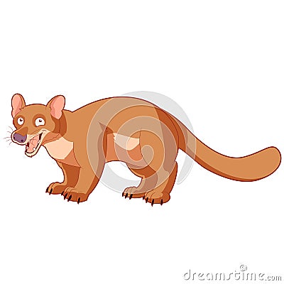 Cartoon Smiling Fossa | CartoonDealer.com #88132563