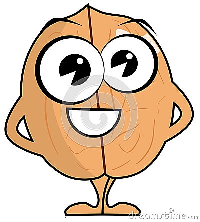Cartoon Walnut Isolated Illustration Stock Illustration - Image: 44261321