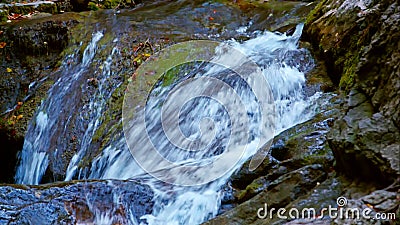Cascading Water of Mountain Stream Flowing Down Stock Footage - Video ...