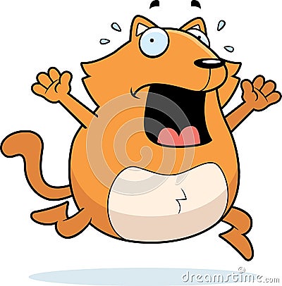 Cat Panic Royalty Free Stock Images - Image: 13043999