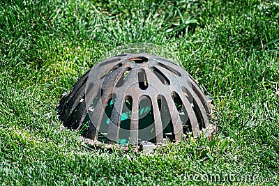 Catch Basin Atrium Drainage Grate Over Storm Water Drain Surrounded By ...