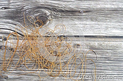 Catgut Suture, Sterilized Surgical Needled Absorbable Suture, For Use ...