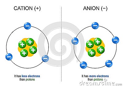Cations And Anions. Structure Of Ions Vector Illustration ...