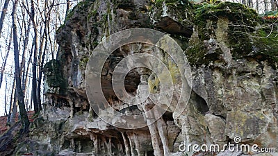 The Cave Grotto in the Forest Stock Video - Video of caving, mysterious ...