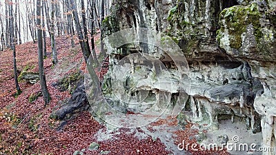 The Cave Grotto in the Forest Stock Video - Video of caving, mysterious ...