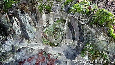 The Cave Grotto in the Forest Stock Video - Video of caving, mysterious ...