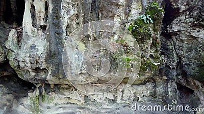 The Cave Grotto in the Forest Stock Video - Video of caving, mysterious ...