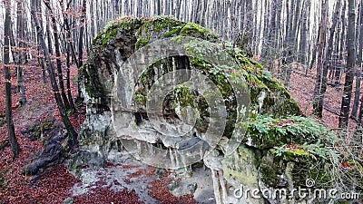 The Cave Grotto in the Forest Stock Footage - Video of cavern, mystery ...
