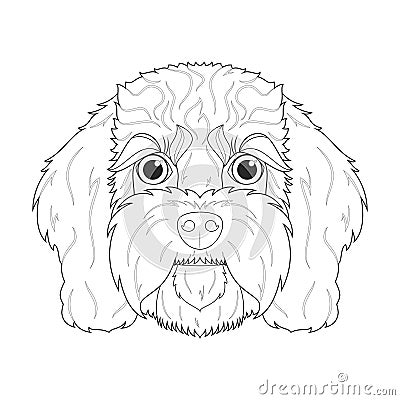 Cavoodle Dog Easy Coloring Cartoon Vector Illustration. Isolated On ...