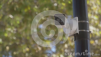 CCTV Camera on a Black Park Pole. Area. Control of Order by Security ...