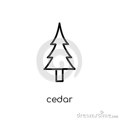 Cedar Icon. Trendy Modern Flat Linear Vector Cedar Icon On White ...