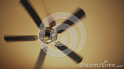Ceiling Fan is Spinning. Bottom View Stock Video - Video of ceiling ...