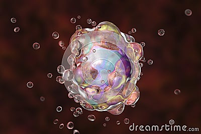 Cell Apoptosis Illustration Royalty-Free Cartoon | CartoonDealer.com ...