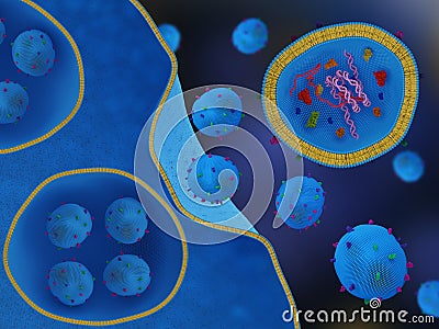 Cell Secreting Exosomes Royalty-Free Cartoon | CartoonDealer.com #248400857