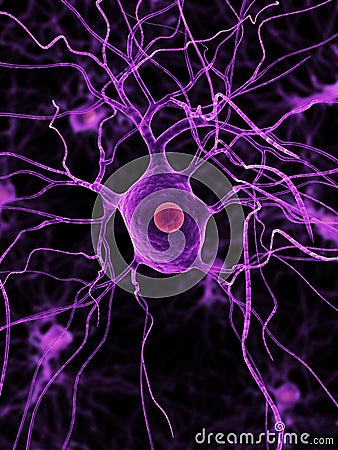 Cellule Nerveuse Images stock - Image: 7726024