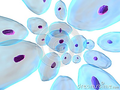 Cellules Humaines Photographie stock - Image: 8061292