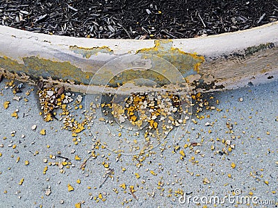 Cement Curb With Chipped Yellow And White Paint Stock Image ...