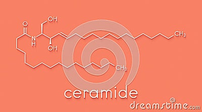 Ceramide Cell Membrane Lipid Molecule. Skeletal Formula. Stock ...