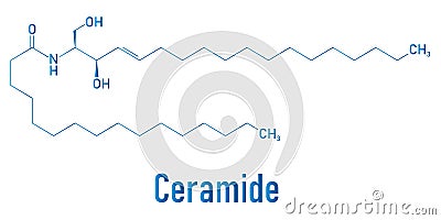 Ceramide Cell Membrane Lipid Molecule. Skeletal Formula. Vector ...