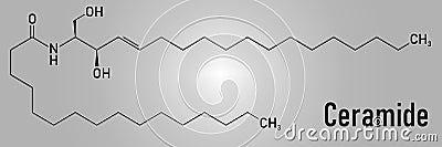 Ceramide Cell Membrane Lipid Molecule. Skeletal Formula. Vector ...