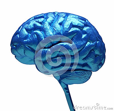 Cerebro Azul Fotos de archivo libres de regalías - Imagen: 16486198