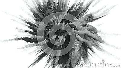Cg Animation of Black Powder Explosion on White Background. Stock ...