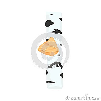 Chaga Mushroom On A Birch Tree. Vector Illustration | CartoonDealer.com ...