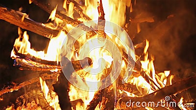 Charming Bonfire Flame Blazing, Zoom-out Camera Motion Stock Footage ...