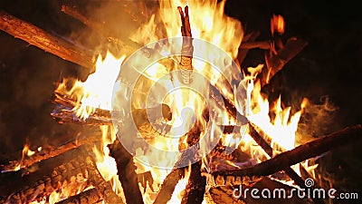 Charming Bonfire Flame, Zoom-in Camera Motion Stock Video - Video of ...