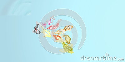 Charming And Elegant Image Design Of A Group Of Koi Fish ...